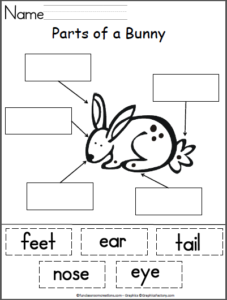 Parts of a Bunny Cut and Paste - Made By Teachers