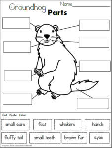 Free Label the Groundhog Worksheet (cut and paste) - Made By Teachers