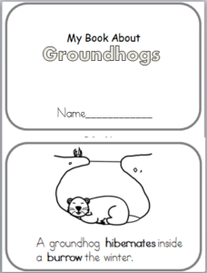 Groundhog Informational Unit for Kindergarten - Made By Teachers