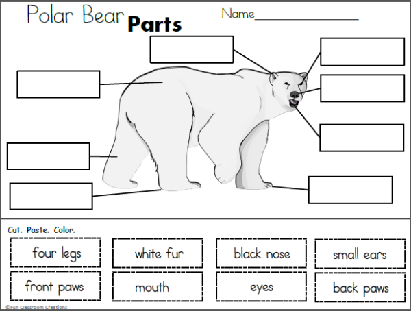 Polar Bear Parts Cut and Paste | Made By Teachers