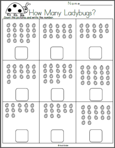Count the Ladybugs Math Worksheet - Made By Teachers