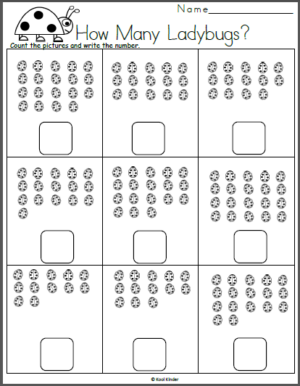 Count the Ladybugs Math Worksheet - Made By Teachers