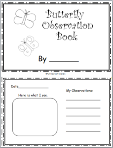 Butterfly Observation Mini Book | Made By Teachers
