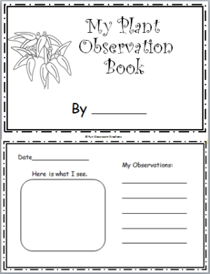 Plant Observation Mini Book - Made By Teachers