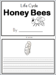 Write About It - Bee Life Cycle Mini Book | Made By Teachers
