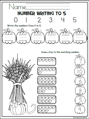 Pumpkin Number Matching To 5 - Made By Teachers