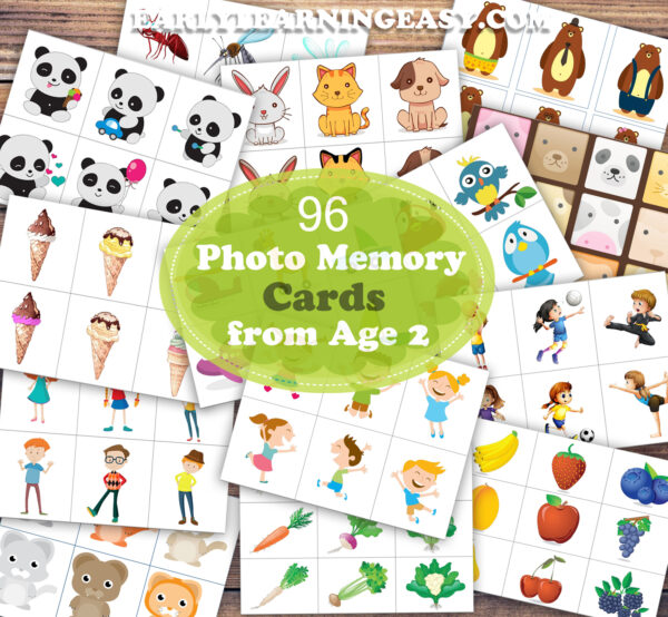 Photographic Memory Development 96 Flash Cards - Made By Teachers