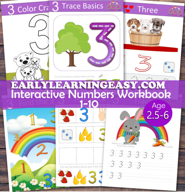 Interactive Numbers Workbook 1-10 | Made By Teachers