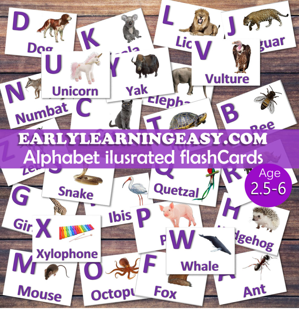 Alphabet Letter Learning Course - Made By Teachers
