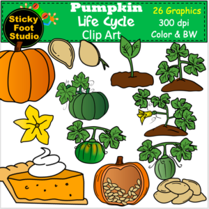 Pumpkin Life Cycle Clip Art - 26 Graphics | Made By Teachers