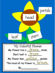 Flower Craft and Color Writing Activity | Made By Teachers