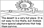 Desert Animal Adaptations Book - Made By Teachers