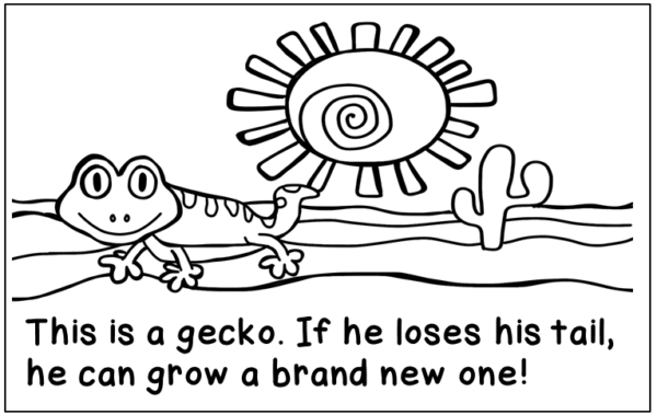 Desert Animal Adaptations Science Reader Print and Digital | Made By ...