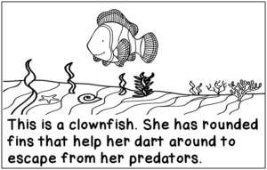 Ocean Animal Adaptations Book Print and Digital | Made By Teachers