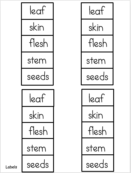 Parts of an Apple Writing Craftivity | Made By Teachers