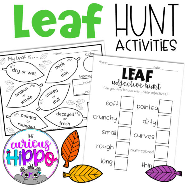 Leaf Activities for Kindergarten | Made By Teachers