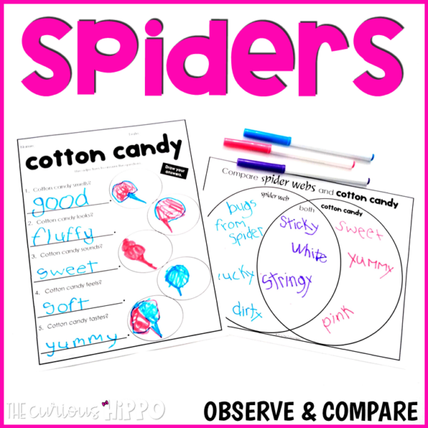 Spider Activities for 1st Grade - Made By Teachers