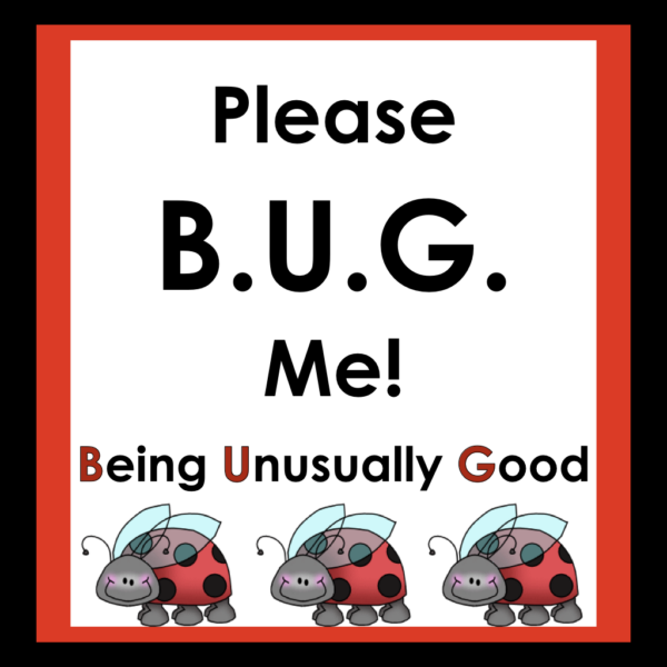 Please B.U.G. Me! | Made By Teachers