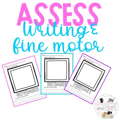 Monthly Self Portrait and Name Writing - Made By Teachers