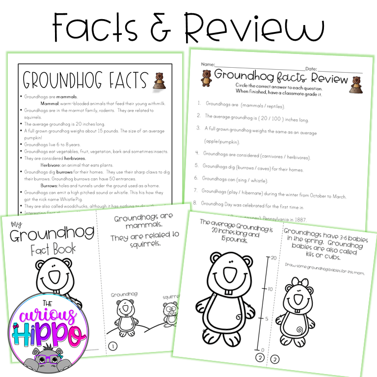 Groundhog Day Facts - 1st Grade - Made By Teachers