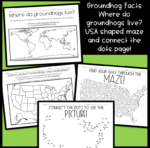 Groundhog Day Facts - 2nd Grade - Made By Teachers