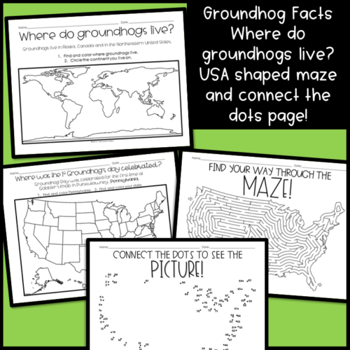 Groundhog Day Facts - 2nd Grade | Made By Teachers