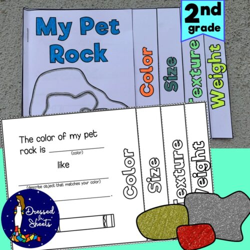 My Pet Rock Booklet - Made By Teachers
