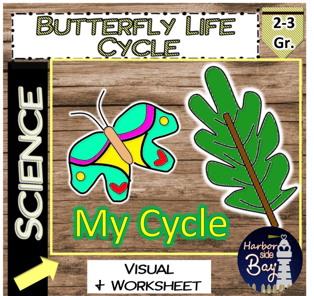 Butterfly Life Cycle Third Grade Supplement | Made By Teachers