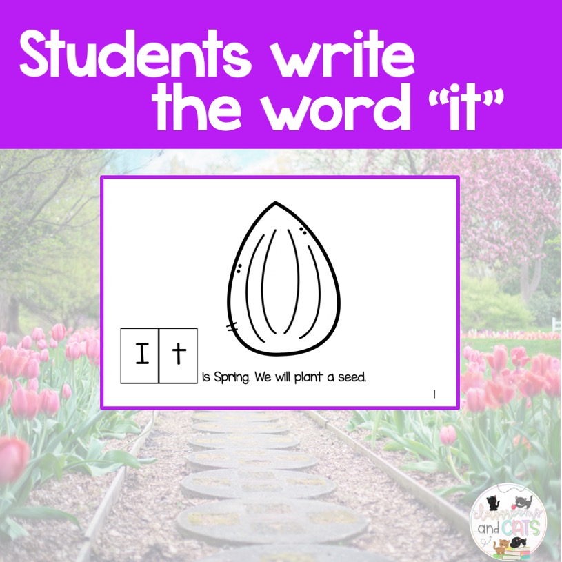 IT is spring interactive sight word reader | Made By Teachers