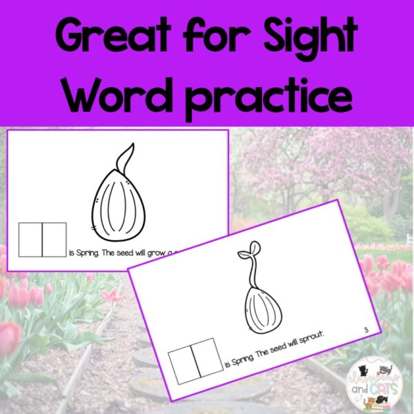 IT is spring interactive sight word reader | Made By Teachers