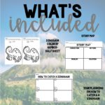 How To Catch a Dinosaur | Made By Teachers