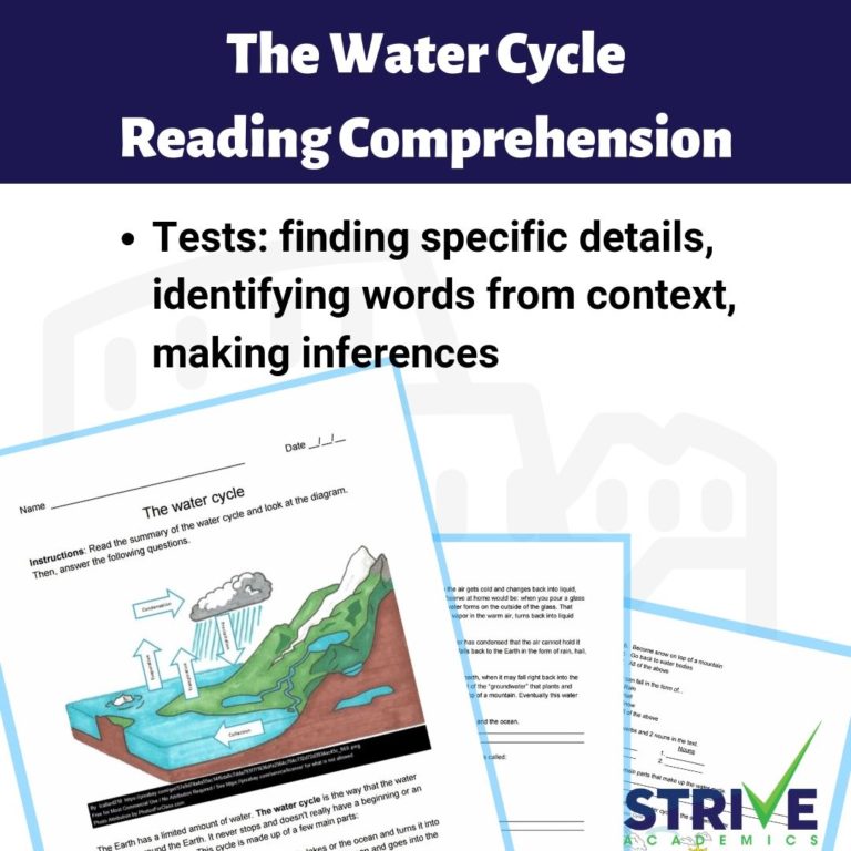 The Water Cycle Reading Comprehension Worksheet | Made By Teachers