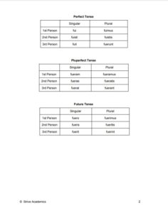 All Conjugated Forms of Sum, Esse Chart (Latin) | Made By Teachers