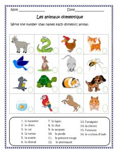 French Animals (Les animaux) Distance Learning worksheets | Made By ...