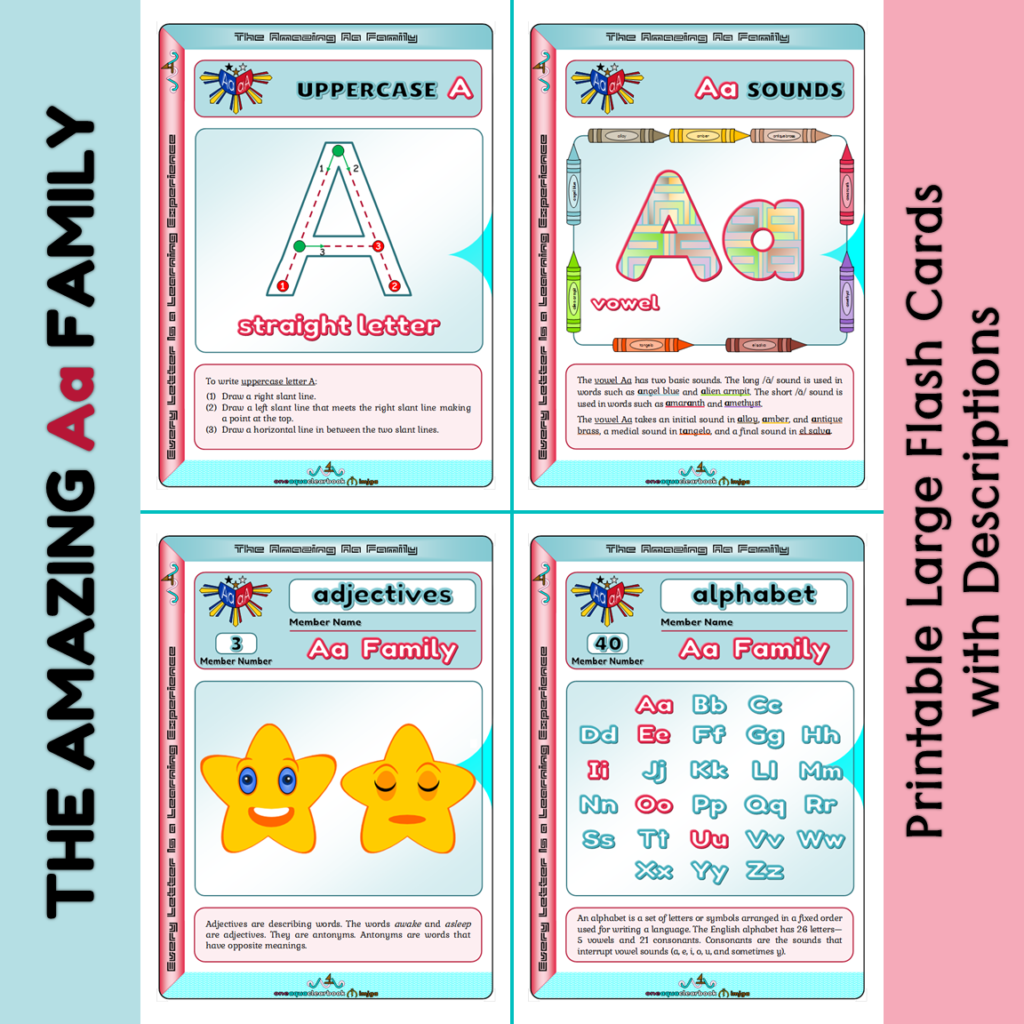 Printable Large Flash Cards - Made By Teachers