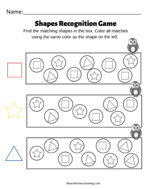 Shapes Recognition Activity Worksheets - Made By Teachers