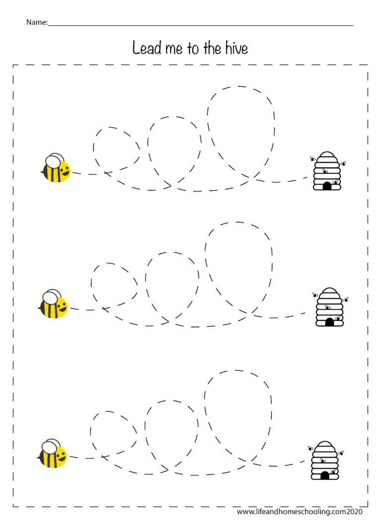 Fine Motor Skills Activity Worksheets | Made By Teachers