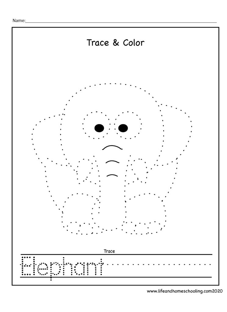 Tracing Animal Pictures | Made By Teachers