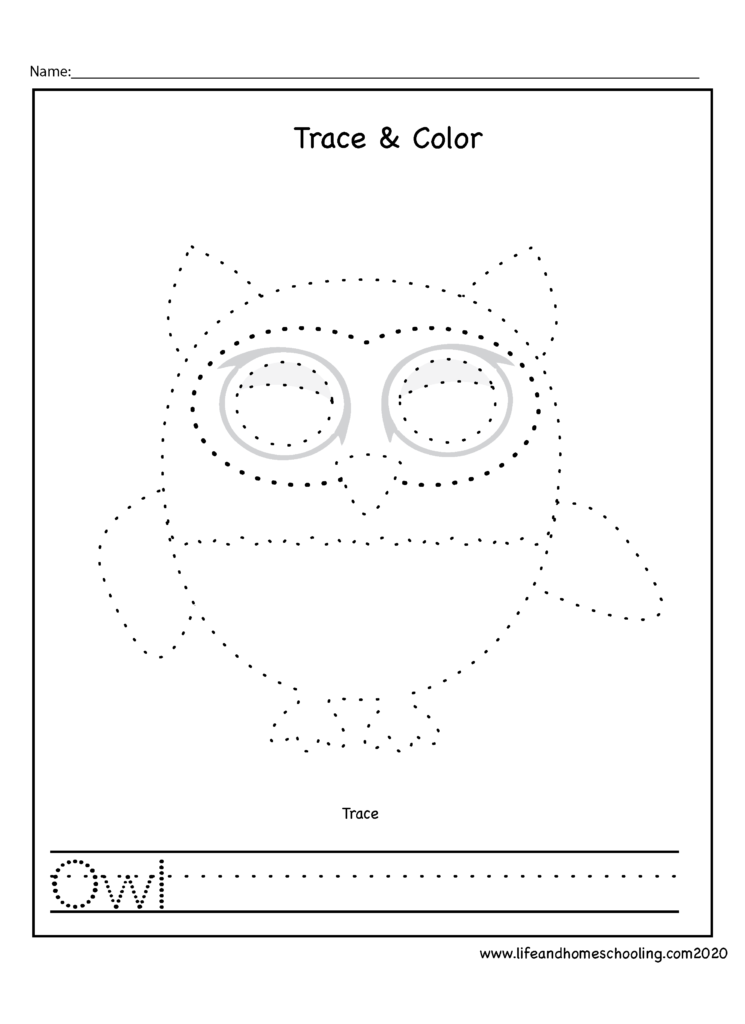 Tracing Animal Pictures | Made By Teachers