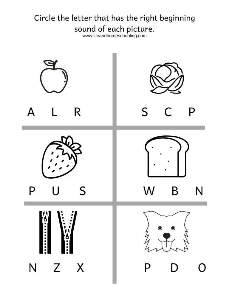 Beginning Sound Phonics Worksheet | Made By Teachers