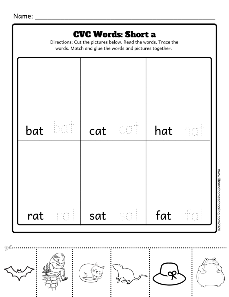 CVC words activity worksheets (short a,e,i,o,u) | Made By Teachers