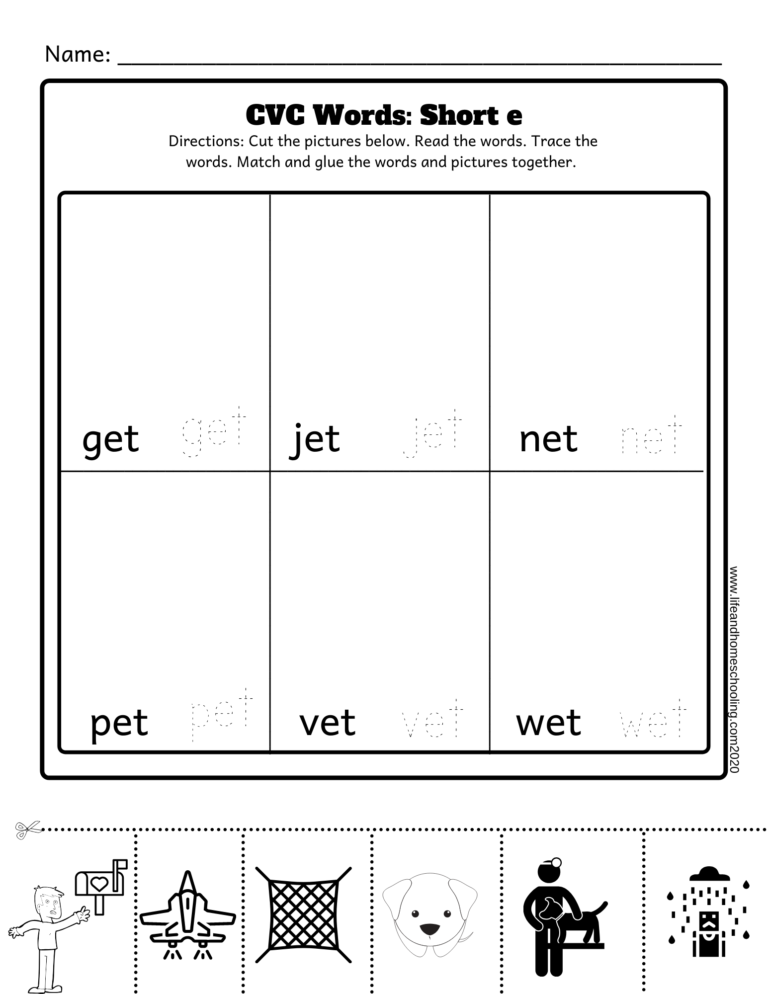 CVC words activity worksheets (short a,e,i,o,u) | Made By Teachers