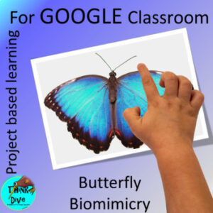 Project Based Learning for GOOGLE Classroom™, Butterfly, Biomimicry ...