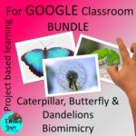 Project Based Learning for GOOGLE Classroom™, Bundle, Biomimicry, NGSS ...