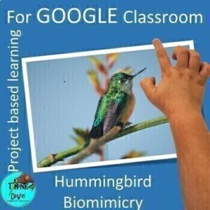 Project Based Learning for GOOGLE Classroom™, Hummingbird, Biomimicry ...