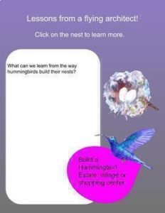 Project Based Learning for GOOGLE Classroom™, Hummingbird, Biomimicry ...