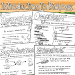 Introduction to Biology - Made By Teachers