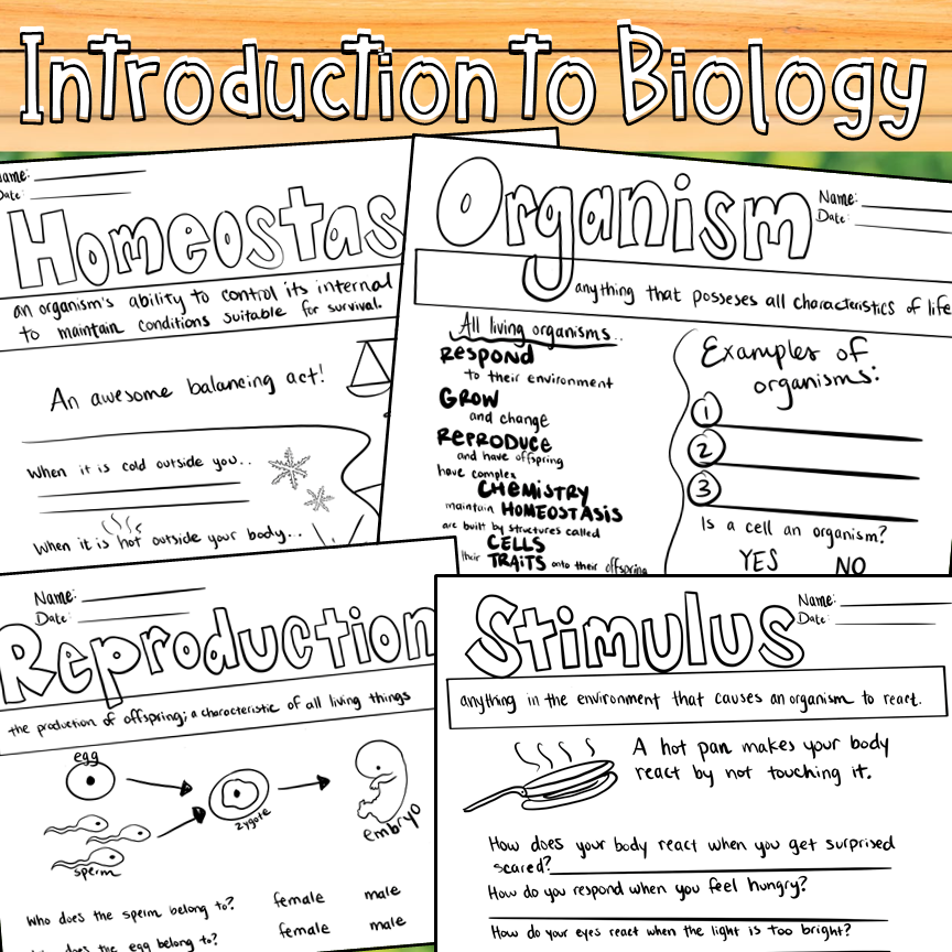 Introduction to Biology | Made By Teachers