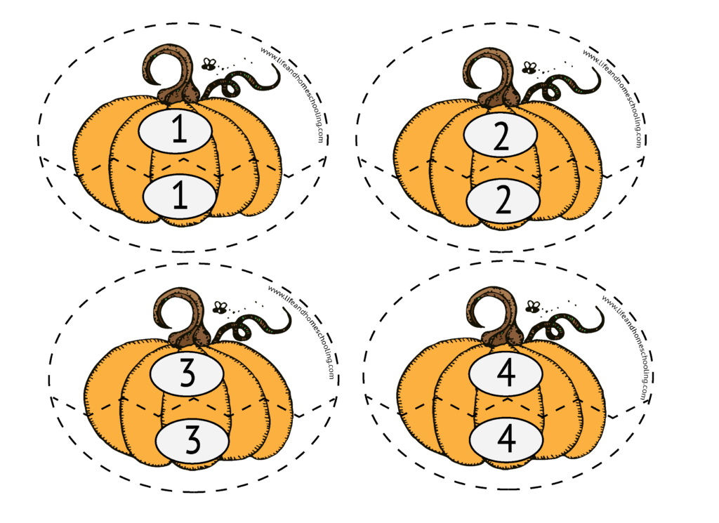 Singular or Plural - Made By Teachers