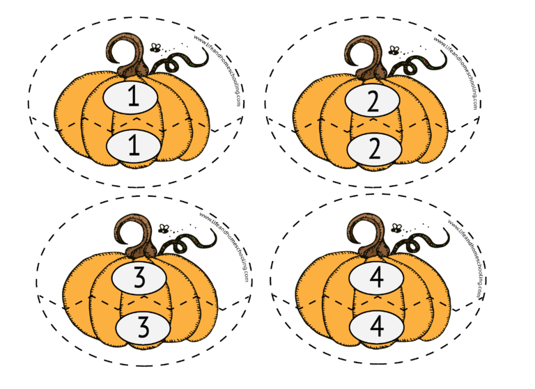 Preschool Math (Tall/Short) - Made By Teachers